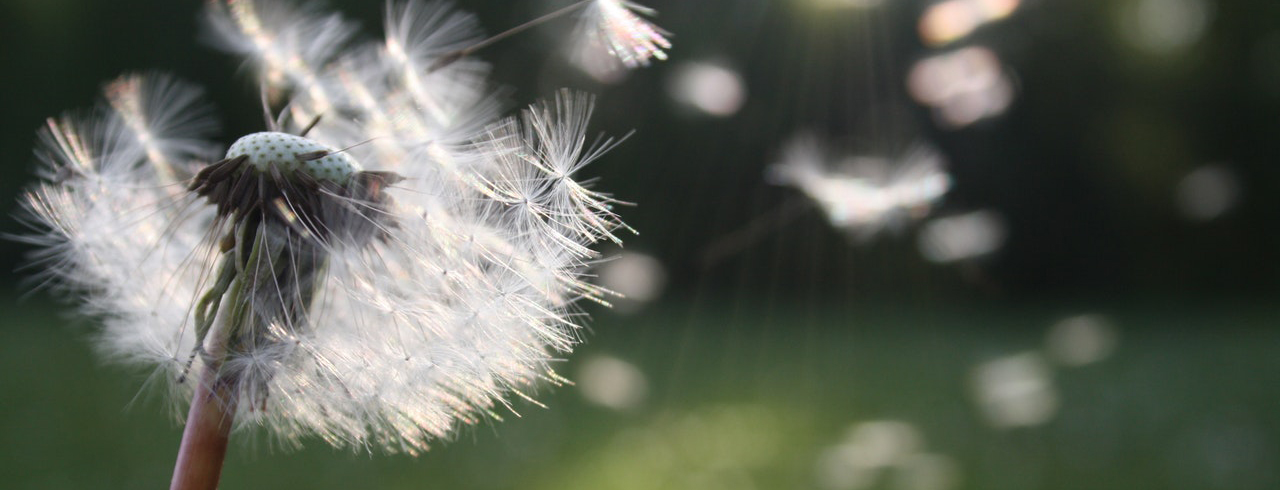 Cómo se forma el viento - Ciencia Divertida Galicia Ciencia Divertida ...